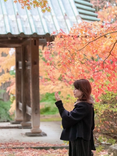 Pen Pals from Japan (Pen Friends) - Email Exchange of Language and Cultures